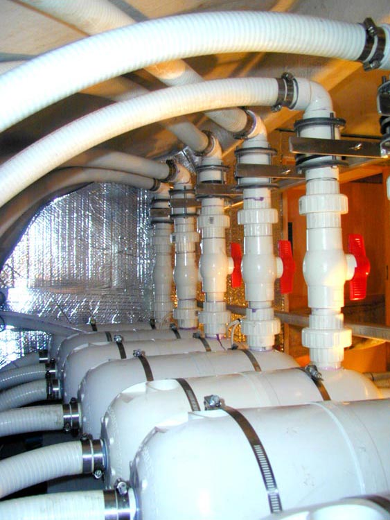 Services - Moor & Dock